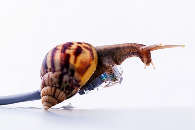 Is Your Website Slow? Here Are 4 Possible Reasons Why